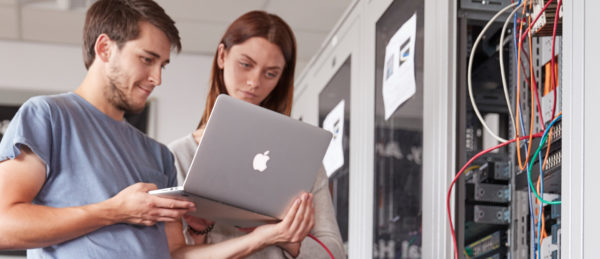 What can I do after completing BSc Information Technology UK?